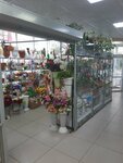 Цветы (Zaytseva Street No:19Б), çiçekçiler  Nijni Novgorod'dan