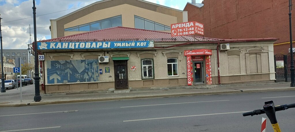 Kırtasiyeler Умный кот, Orenburg, foto