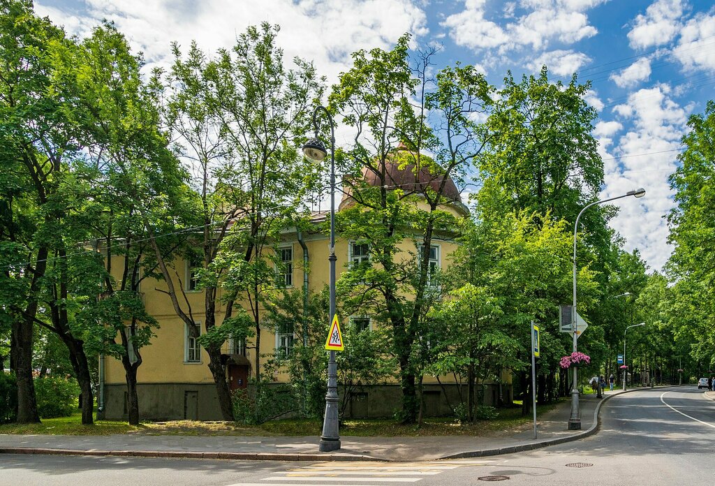 Turistik yerler Дом директора Публичной библиотеки А.Н. Оленина, Puşkin, foto