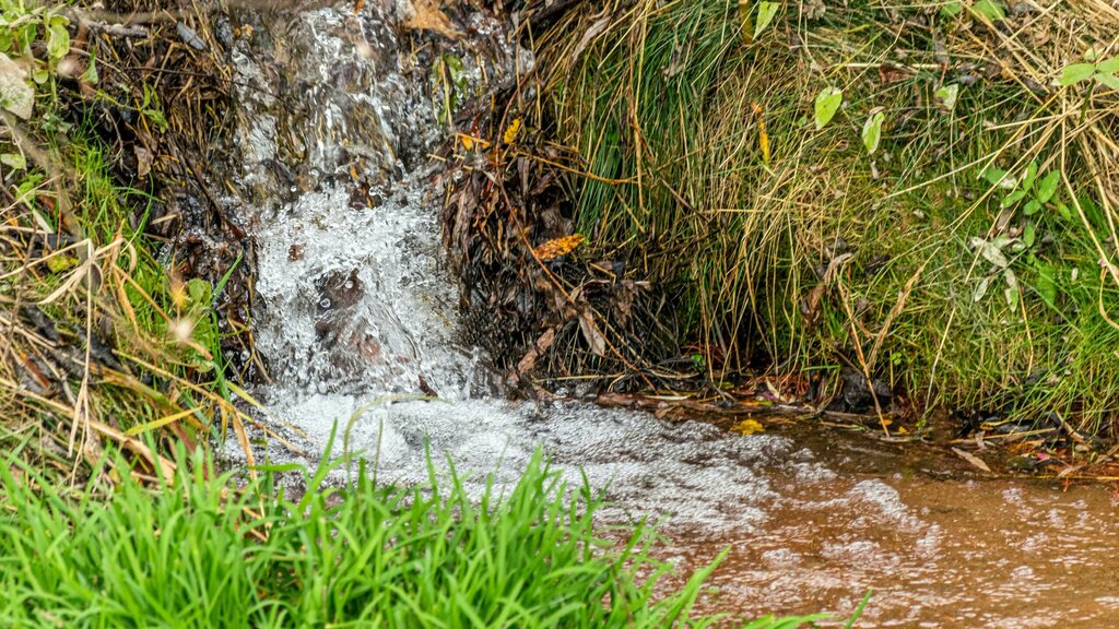Şelale Водопад Моховик, Kirov, foto