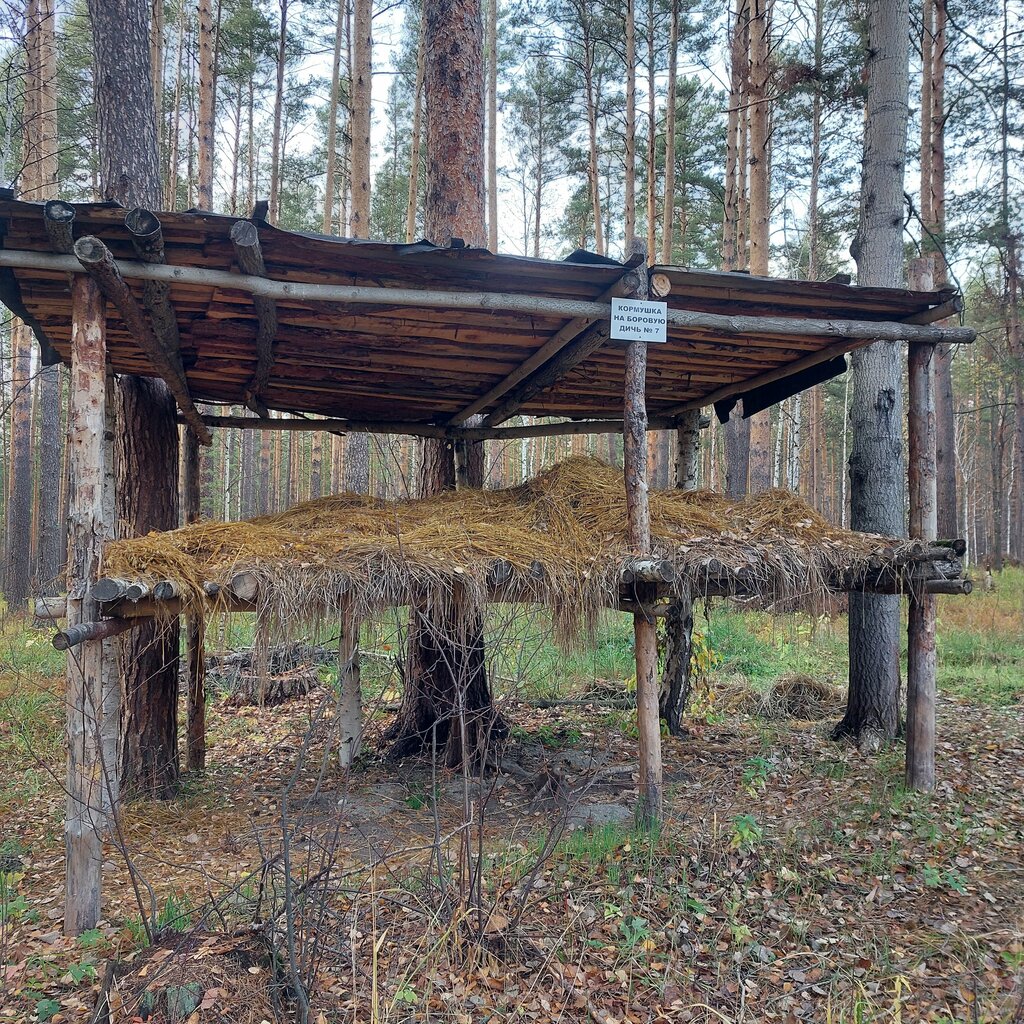 Turistik yerler Усолкинский железный рудник, Sverdlovskaya oblastı, foto