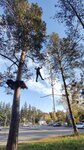 Верёвочный парк (Zmeinogorskiy Highway No:36А), i̇pli oyun park  Barnaul'dan