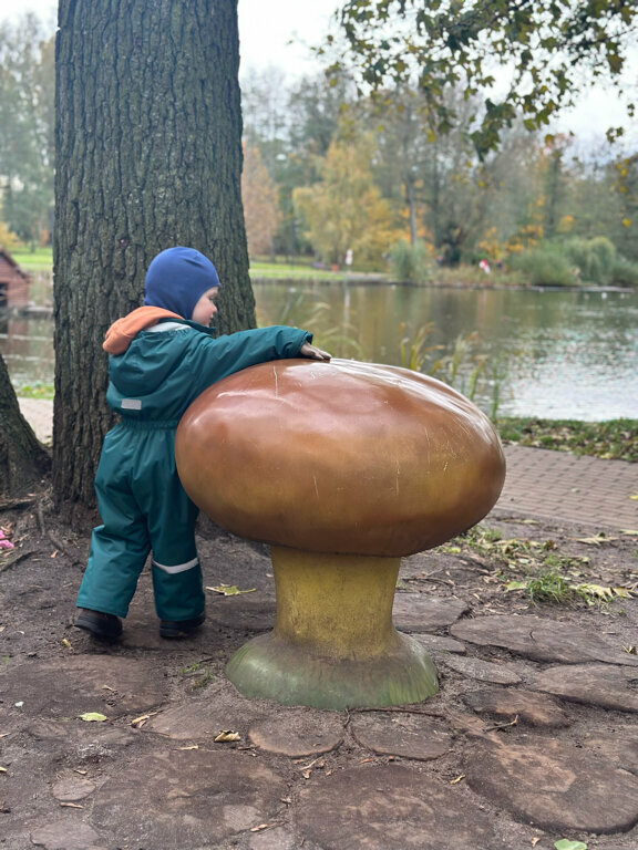 Park, sokak heykeli Маслёнок, Zelenogradsk, foto