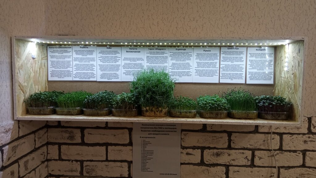 Manavlar Микрозелень, Moskova, foto