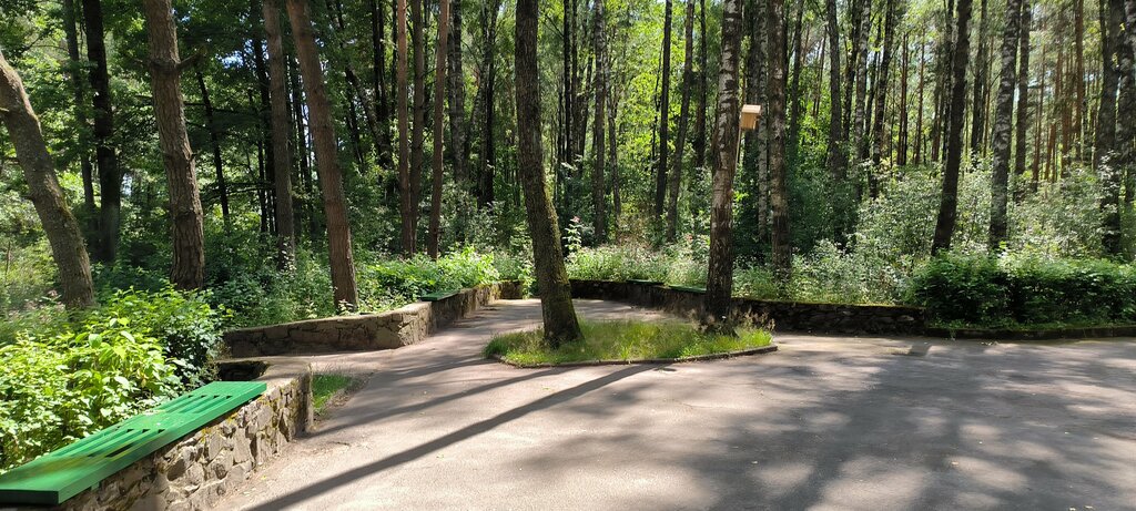 Pınar, çay Spring, stream, Salihorsk, foto