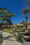 Aia Moai Beach Life (Antalya, Alanya, Türkler Mah., Akdeniz Blv., 1/1), plaj  Alanya'dan