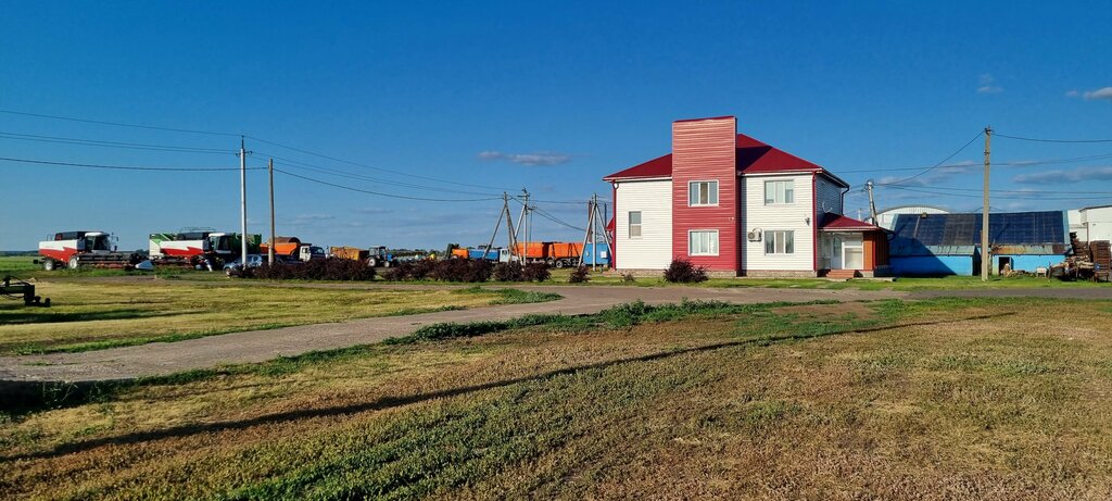 Tohum üretimi Agrotech, Ulyanovskaya oblastı, foto