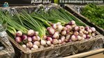 Union Co-operative Society Hypermarket (2, 7 Street, Ras Al Khor Industrial 3, Ras Al Khor, Dubai), hipermarket