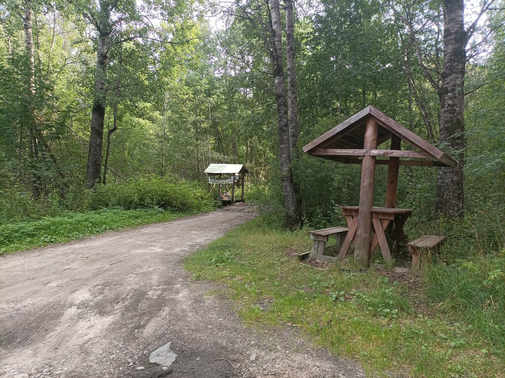 Pınar, çay Spring, stream, Saint‑Petersburg ve Leningradskaya oblastı, foto