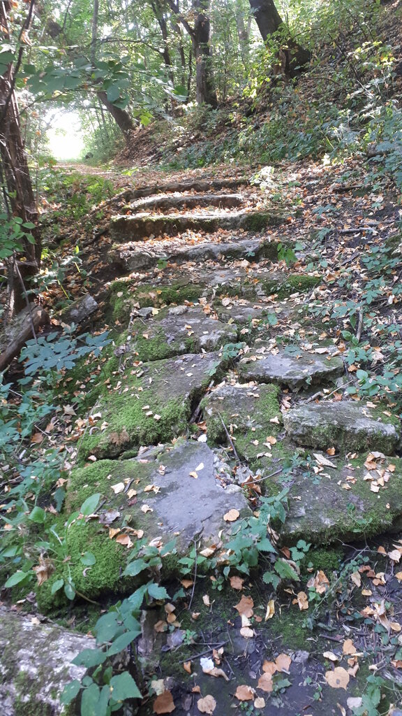 Kültür ve eğlence parkları Урочище "Усадьба Дениса Давыдова", Orlovskaya oblastı, foto