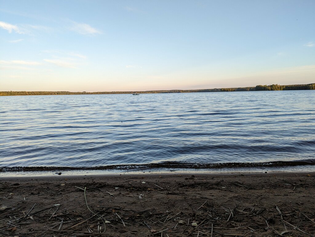 Piknik alanı Место для пикника, Saint‑Petersburg ve Leningradskaya oblastı, foto