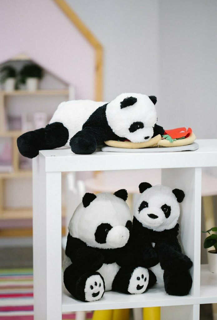 Çocuk gelişim merkezleri Happy Panda, Saratov, foto