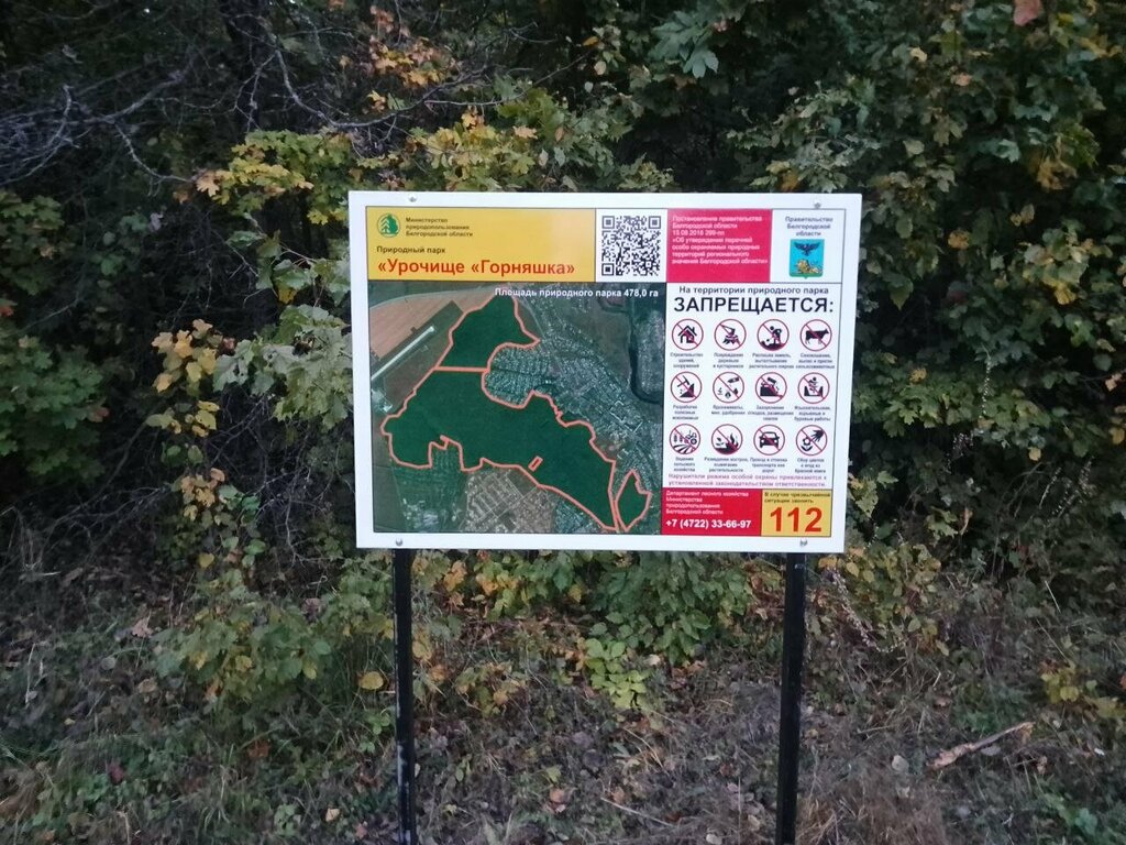 Orman лес Горняшка, Stariy Oskol, foto