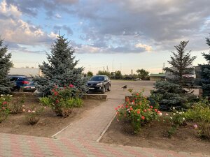 Pridorozhnaya (Rostov Region, Kamenskiy rayon, M-4 Don, 925-y kilometr), otel  Rostovskaya oblastından