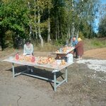 Родник (Vladimir Region, Aleksandrovskiy rayon, munitsipalnoye obrazovaniye Andreyevskoye, derevnya Yelkino), market  Vladimirskaya oblastından