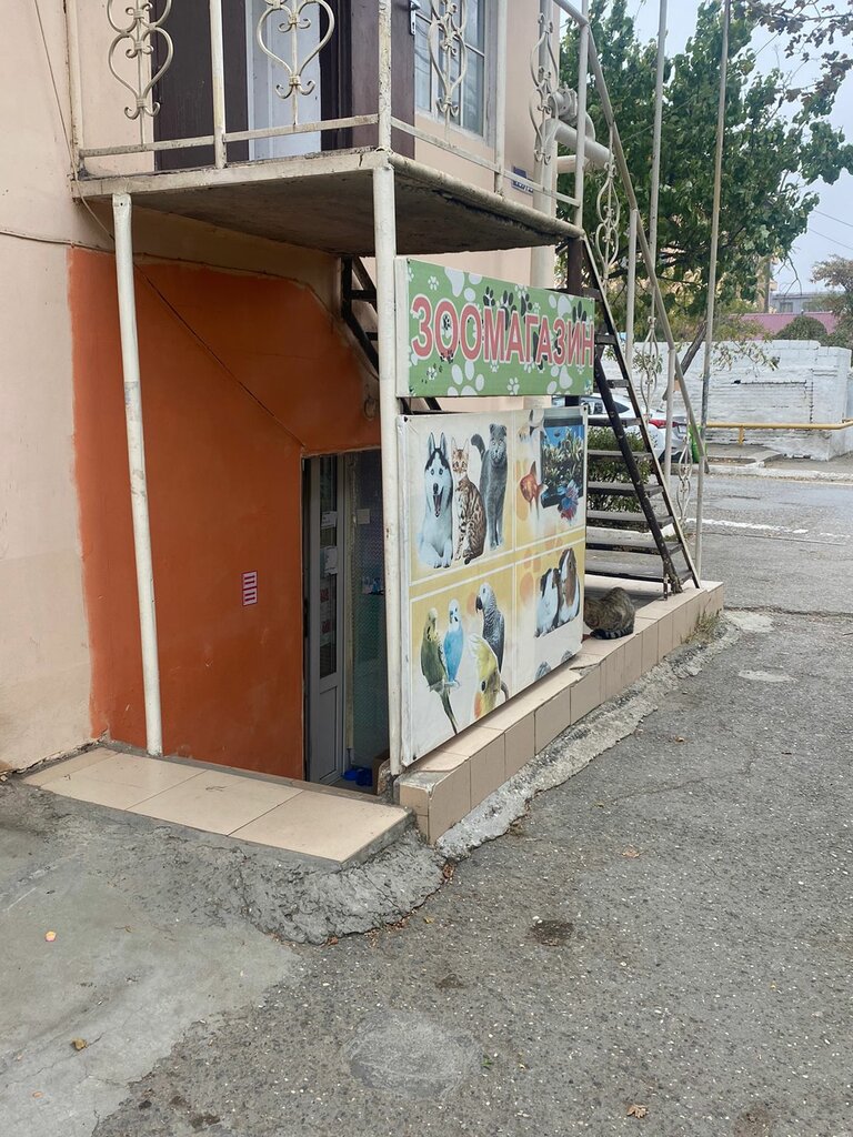Petshop Зоомагазин, Khasavyurt, foto