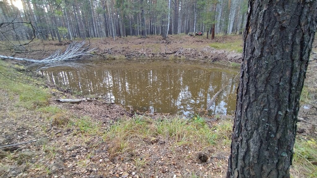 Turistik yerler Каменногорский железный рудник, Sverdlovskaya oblastı, foto
