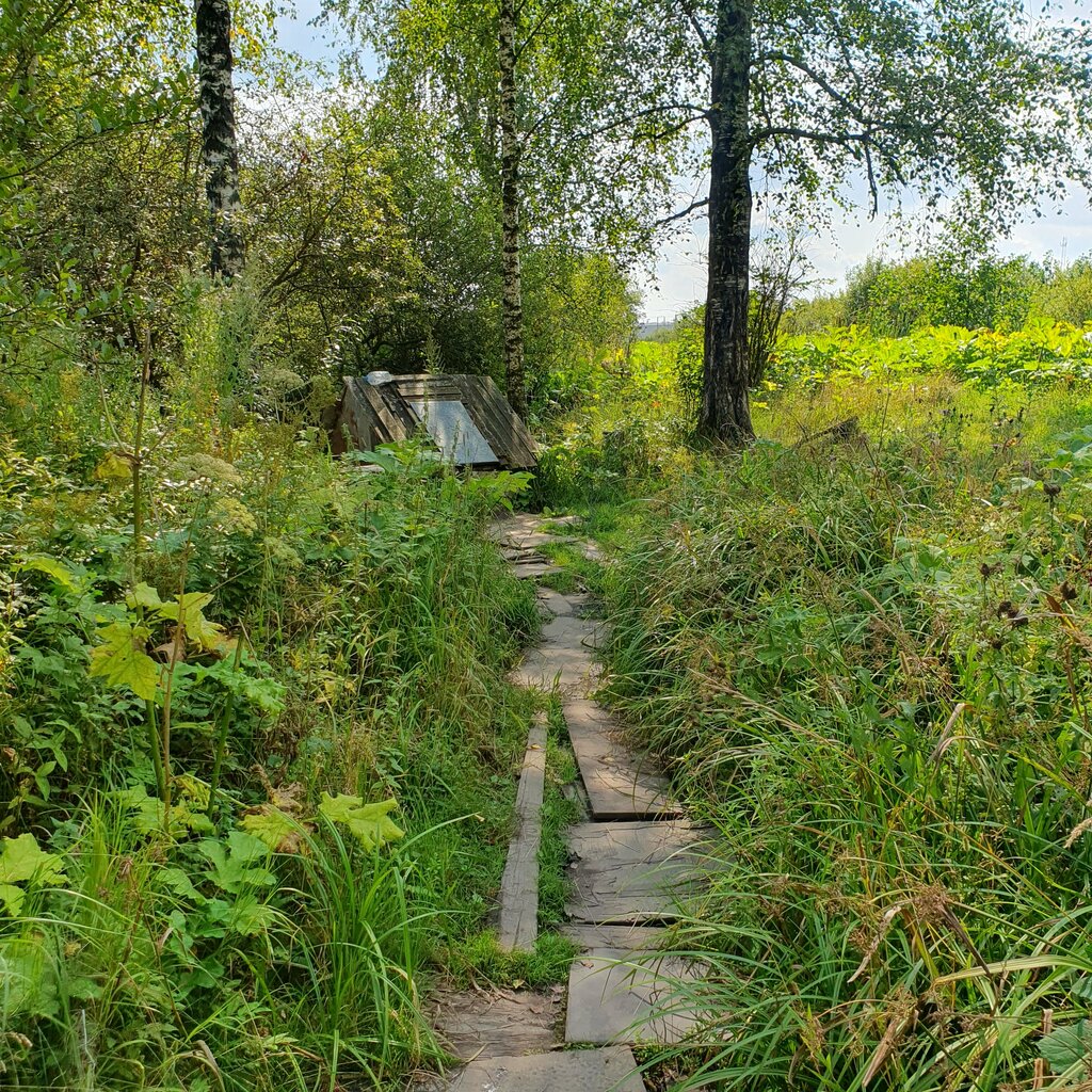 Pınar, çay Spring, stream, Moskova ve Moskovskaya oblastı, foto