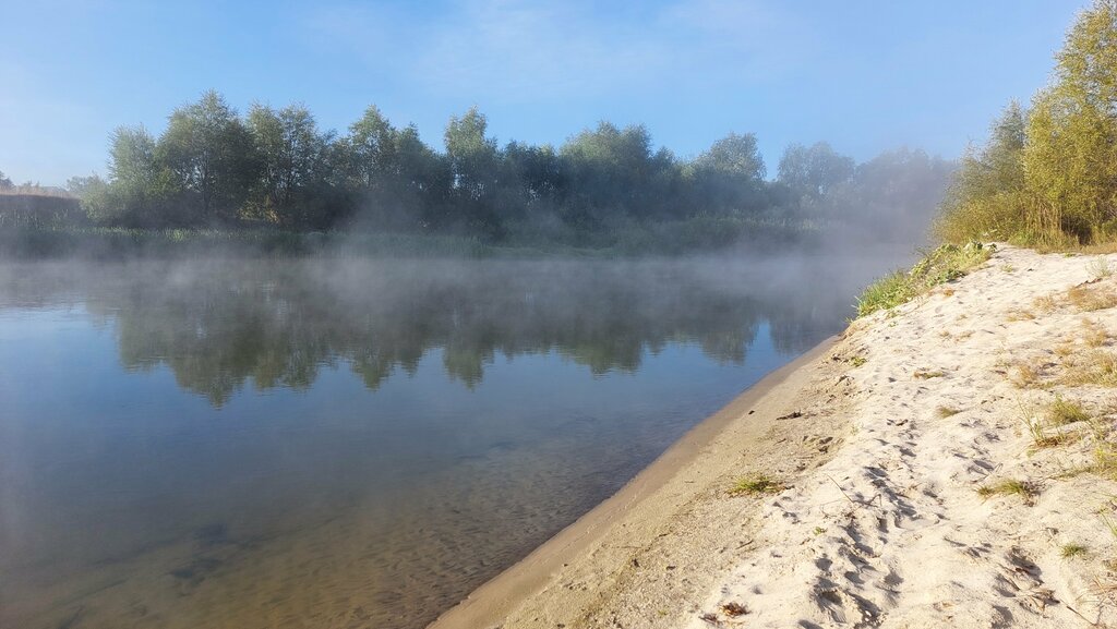 Plaj Пляж, Voronejskaya oblastı, foto