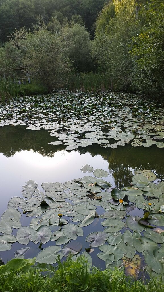 Konuk evi Гостевой дом Нежный, Adıge Cumhuriyeti, foto