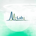 M-Lab (Vyborgskaya Street No:16с1), standardizasyon firmaları  Moskova'dan