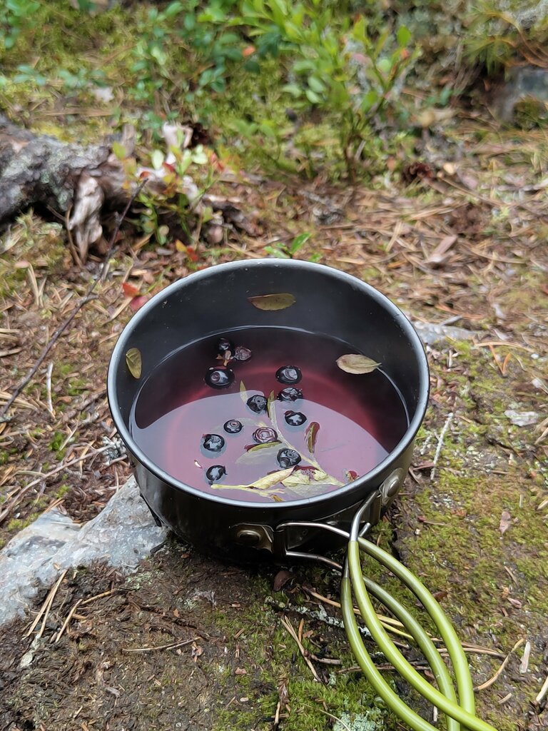 Pınar, çay Spring, stream, Karelya, foto