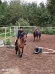Konnosportivny klub Alkor (ulitsa Kosmonavtov No:37, rabochiy posyolok Polazna), at ve binicilik kulüpleri  Permski krayından