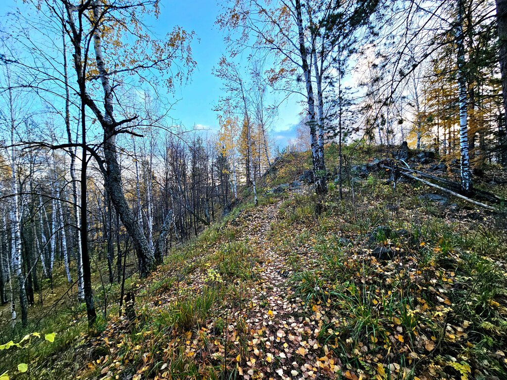 Dağ zirvesi Гора Кирпичная, Novouralsk, foto