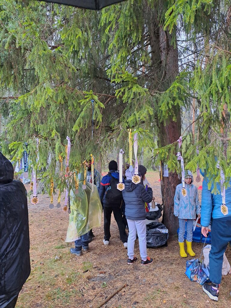 Parklar ve ormanlar Комплексный памятник природы регионального значения Лужки-Горки-Ладенки, Obninsk, foto