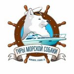 Туры морской собаки (Kalinina Street No:244с2), tekne turları  Vladivostok'tan