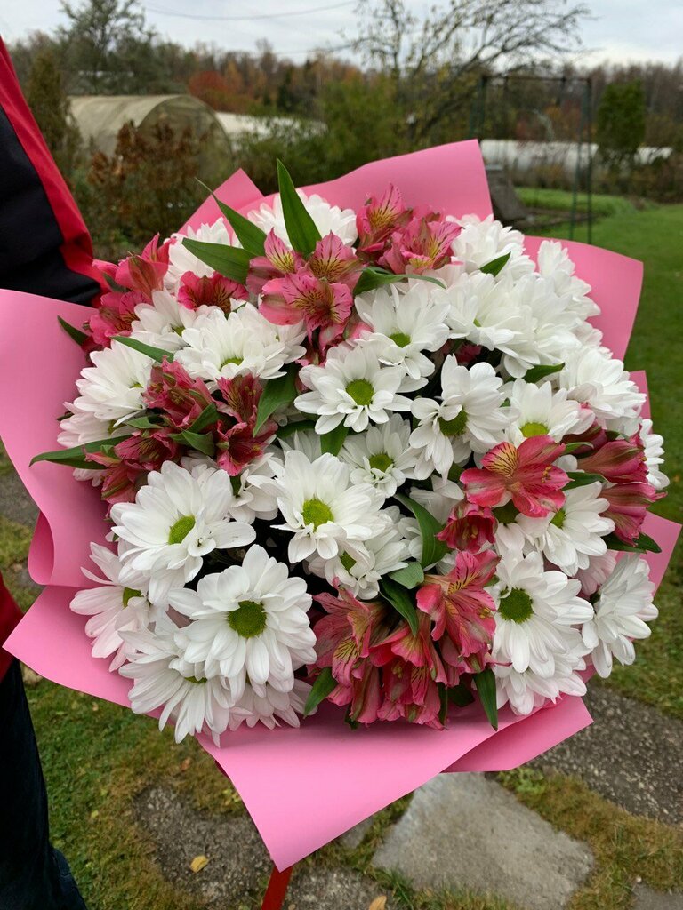 Çiçekçiler Цветы на Горе, Moskova ve Moskovskaya oblastı, foto