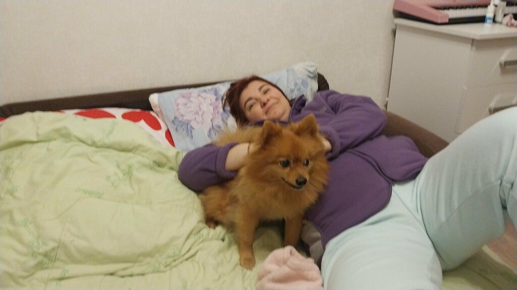 Evcil hayvan yetiştiricileri Ziber Dolche Vita, Saint‑Petersburg, foto