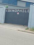 L'oenephille (Boulevard Auguste Denise No:3082), alkollü içecekler  Abican'dan