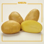 Menzhinskiy (Centraĺnaja vulica No:20, vioska Ploskaje), tarım firmaları  Minskaya oblastından