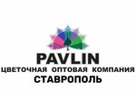 Павлин (Staromaryevskoe Highway No:23), çiçekçiler  Stavropol'dan