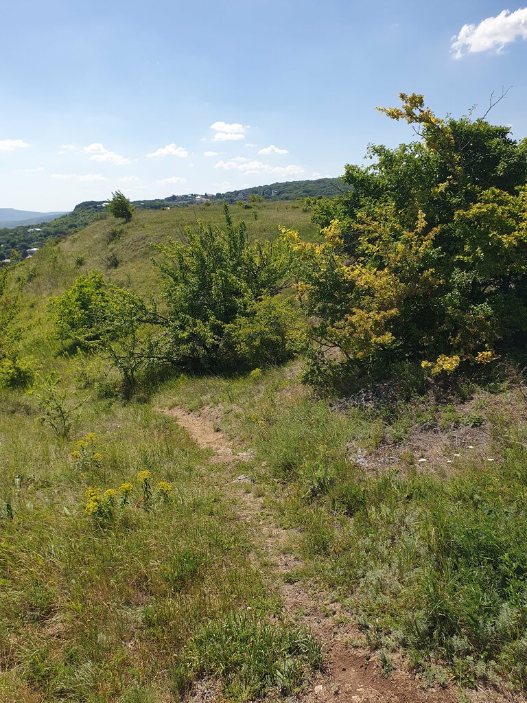 Pınar, çay Spring, stream, Stavropolski krayı, foto