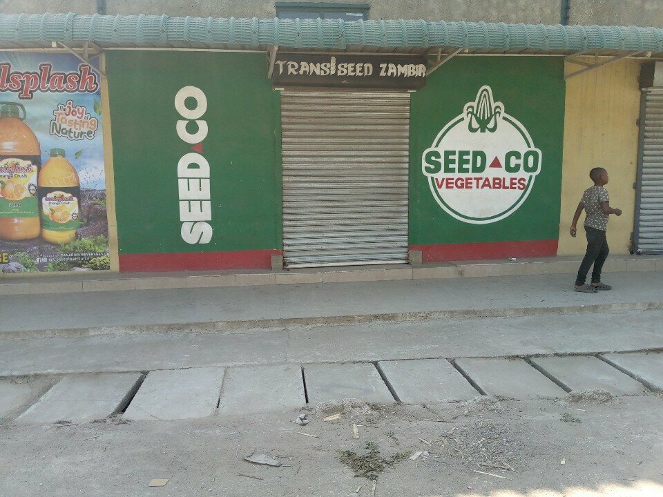 Tohum üretimi Trans seed zambia Ltd, Lusaka, foto