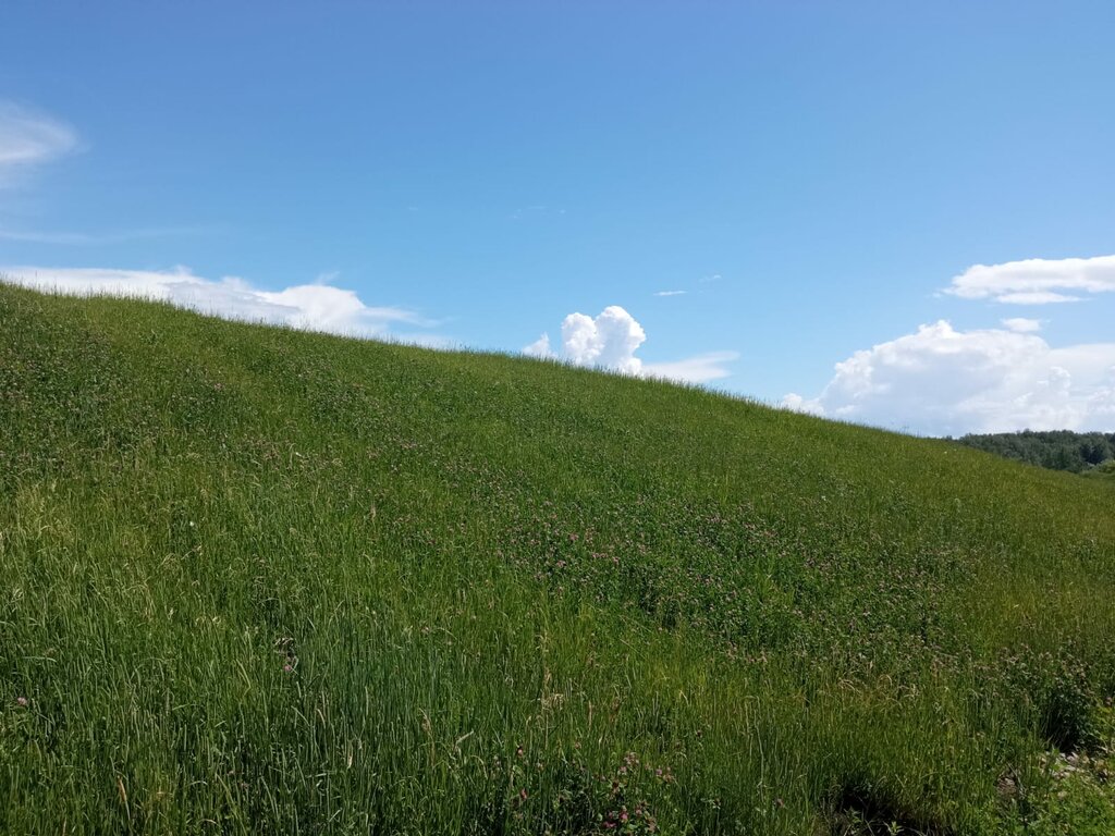Atık depolama alanı Рекультивированный полигон отходов, Kurganskaya oblastı, foto