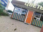 Ирис (Republic of Bashkortostan, Sterlitamak, Vokzalnaya Street), çiçek teslimatı  Sterlitamak'tan