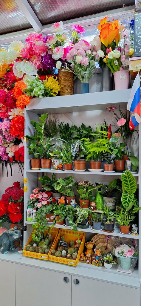 Çiçekçiler Ip Azbukina L. B., Lipetsk, foto