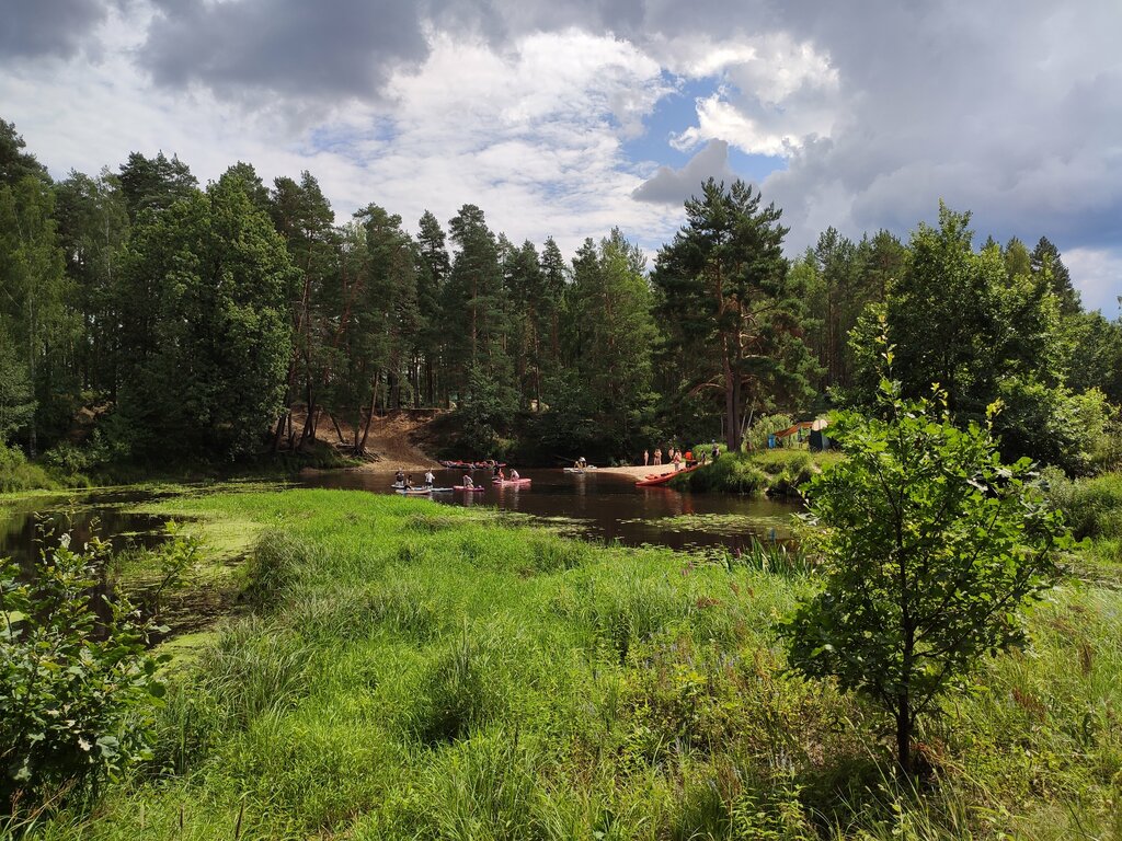 Piknik alanı Место для пикника, Moskova ve Moskovskaya oblastı, foto