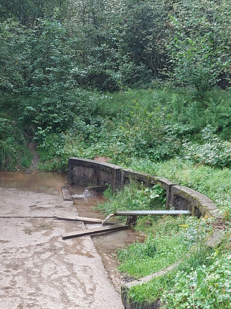 Pınar, çay Spring, stream, Saint‑Petersburg ve Leningradskaya oblastı, foto