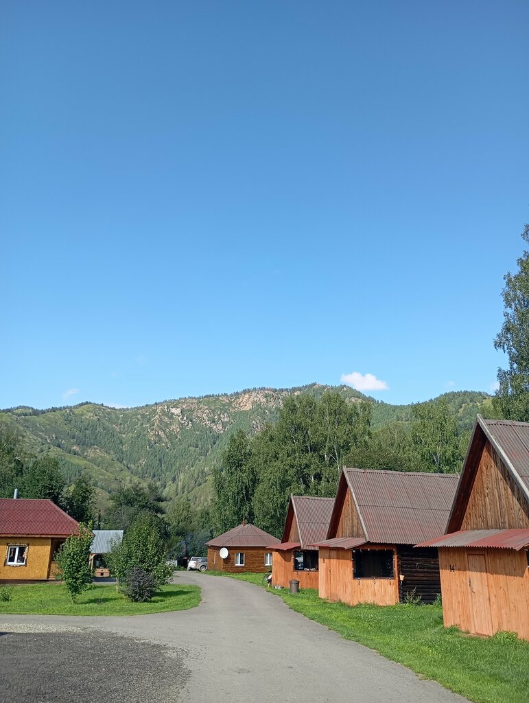 Hayvancılık Тополинский маральник, Altayski krayı, foto