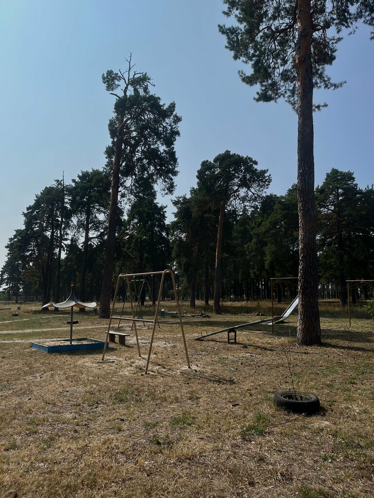Oyun alanı Playground, Kalinoviçi, foto