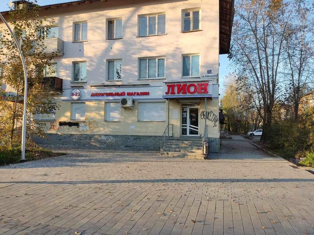 Market Lion, Nijni Tagil, foto
