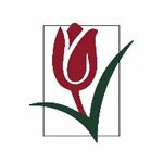Tulip (Leningradskaya ulitsa No:71к3), mobilya fabrikaları  Vologda'dan