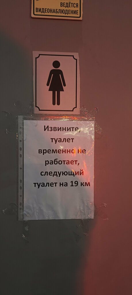 Yol kenarı dinlenme alanı Придорожная зона отдыха, Moskova ve Moskovskaya oblastı, foto