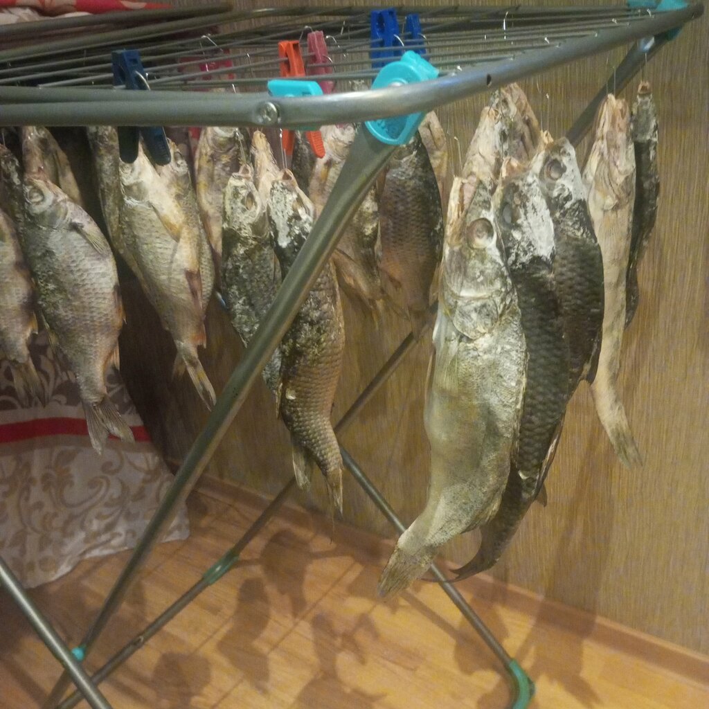 Balık ve deniz ürünleri Рыба, Puçej, foto