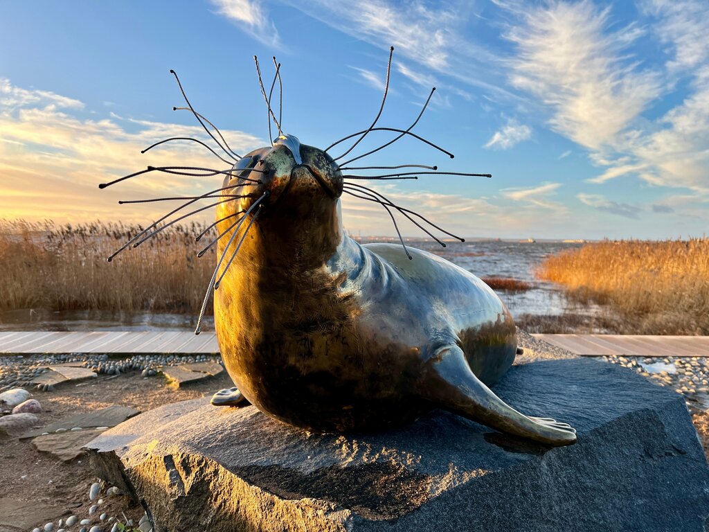 Park, sokak heykeli Seal, Kronstadt, foto