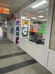 Pet Shop (ulitsa Mashkhura Zhusupa No:15), petshop  Pavlodar'dan